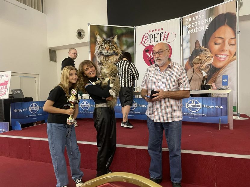Mrnjau Fest u Beogradu i izbor najlepše mace - Ljubimci Telegraf