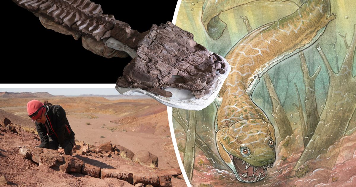 Džinovsko čudovište iz močvare bilo je nezaustavljivi predator: Imao je ...