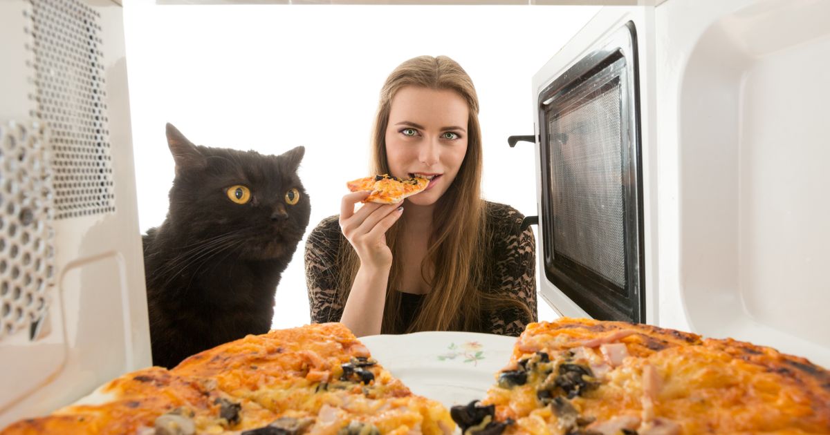 Gladna mačka Klaus uspela da otvori vrata mikrotalasne pećnice i ...
