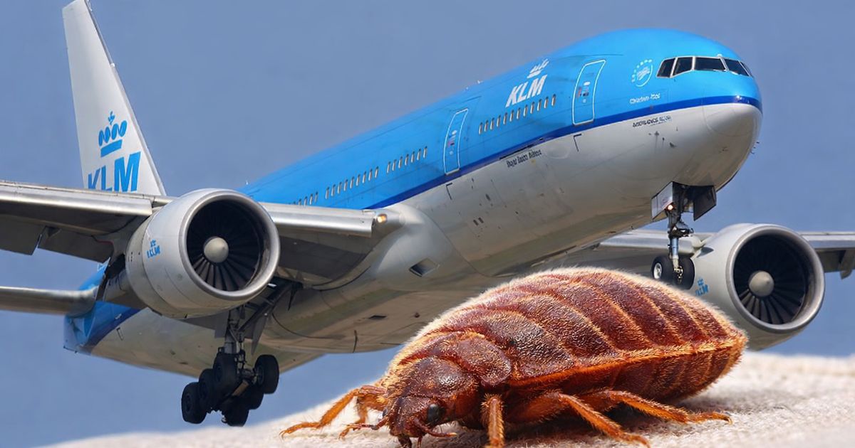 Putnici iz SAD na letu KLM-a za Beograd tvrde da su bili izloženi ...
