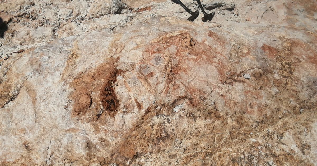 Crvene pruge na steni u Velsu su praistorijska umetnost - Nauka Telegraf